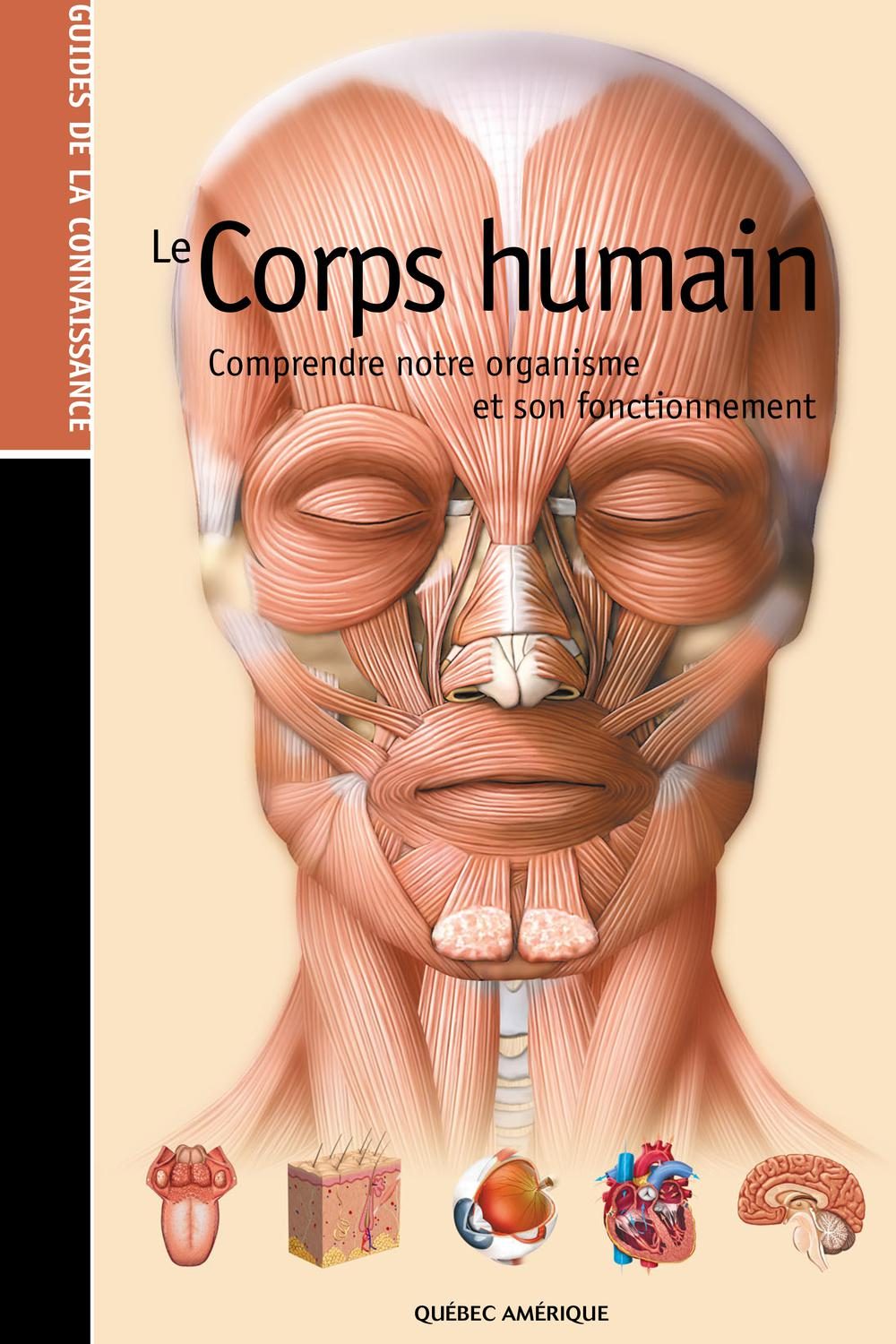 Les Guides De La Connaissance - Le Corps Humain (ebook) · Ebooks · El ...